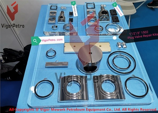 SPM / FMC Plug Valve Repair Kits 2" Fig 1502 Female x Male 15000PSI ...