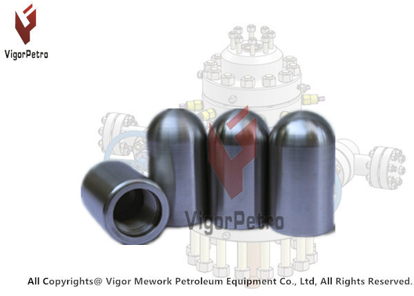 Wellhead Component Bull Plug