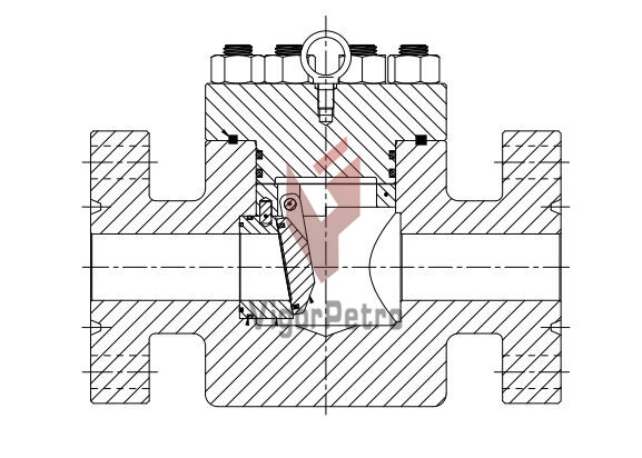 Check Valve Swing Type, 2-1/16", 5000 PSI, Flange Ends RTJ R-24 API 6A ...